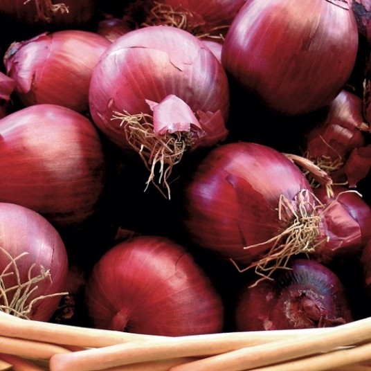 Oignon rouge "Red Baron" 250g - Calibre 14/21 - Desjardins.fr