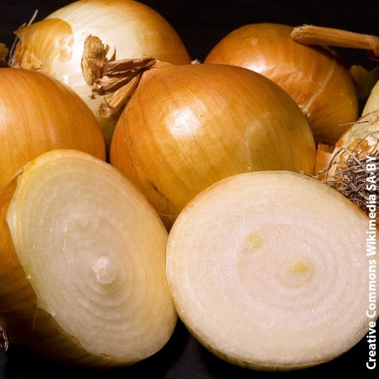 Oignon jaune 250g - Calibre 8/21 - Desjardins.fr