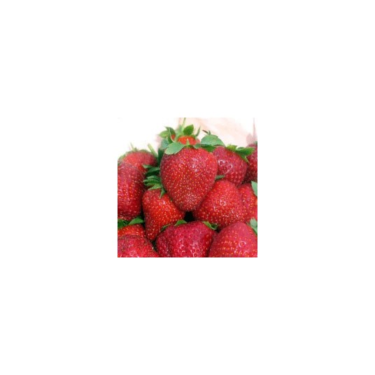 Fraisier "Belrubi" - Barquette de 6 - Desjardins.fr