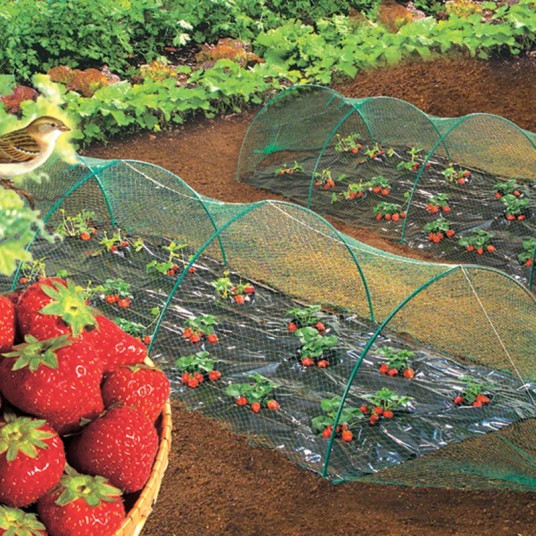 Filet oiseau birdnet 5x10m vert - NORTENE - Desjardins.fr