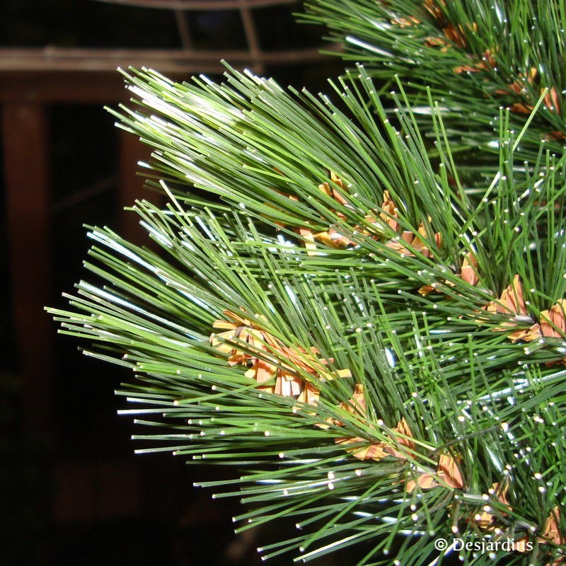 Sapin artificiel Forest frosted vert - 90 cm - Triumph Tree - Desjardins.fr