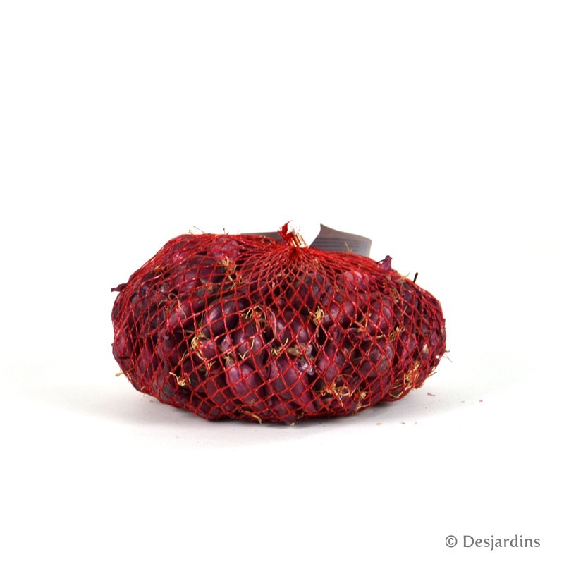 Oignon rouge "Red Baron" 500g - Calibre 14/21 - Desjardins.fr