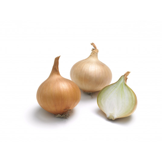 Oignon rond Riesen calibre 14/21 250 g - Bulbéo - Desjardins.fr